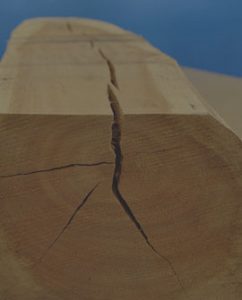 Timber Resin Repairs | Archer Specialist Treatments